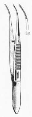 Fine Curved Forcep – Empire Funeral Supply